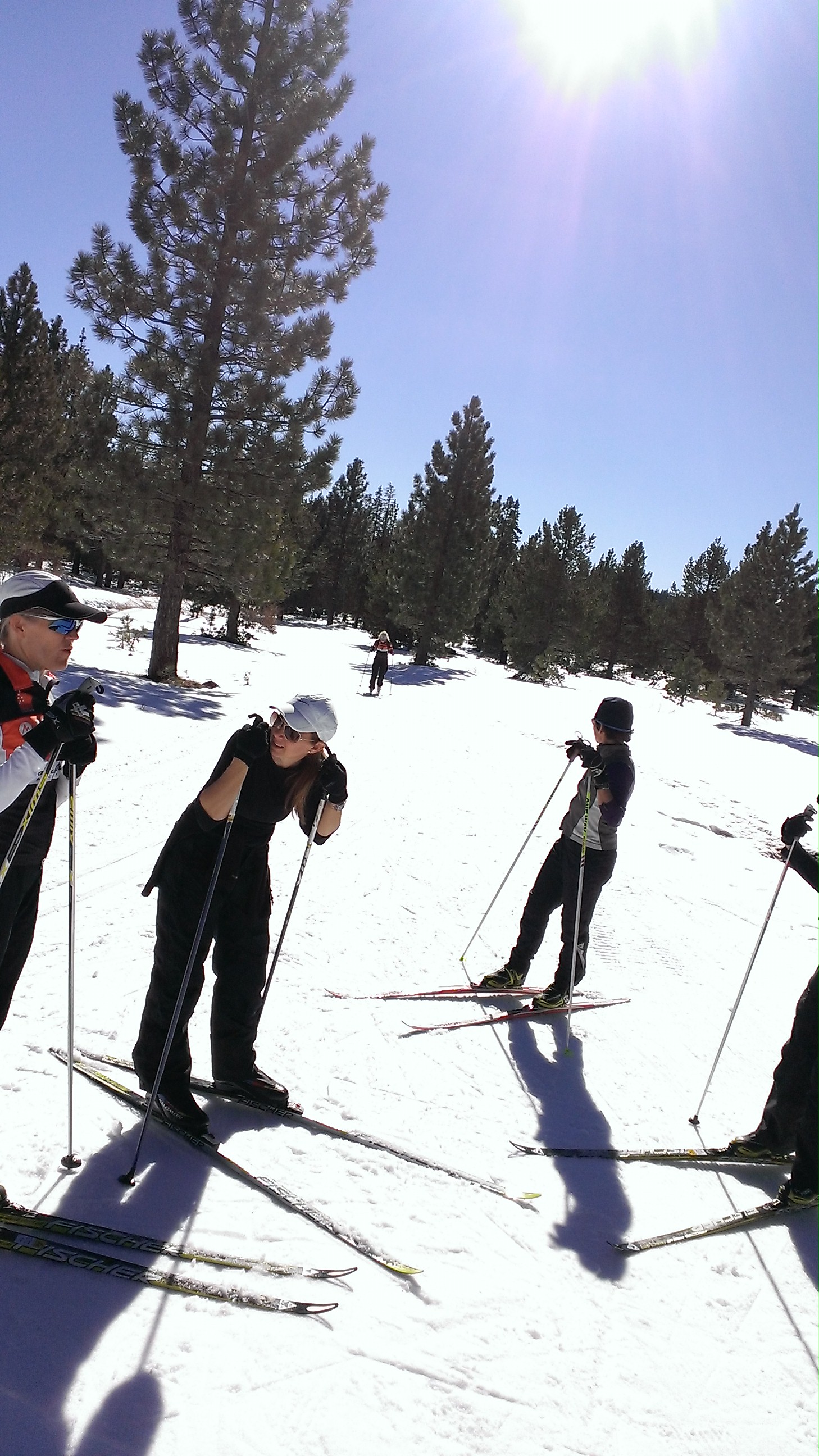 Hip and Trunk Stability, Glute Activation, and Trunk/Core workouts are ...